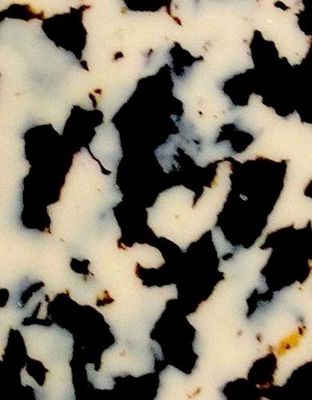 Celluloid Plastic Sheet factory, Buy good quality Celluloid Plastic ...